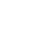 Vertex Global Services - Passion for Excellence